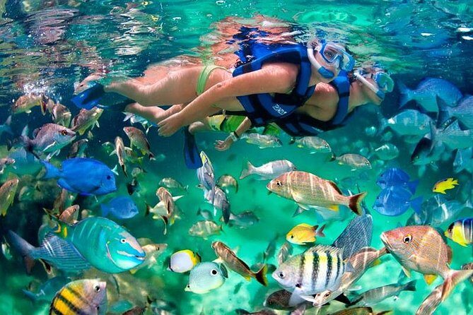 Tulum Coba Akumal Snorkel tour Premium Service Small Group - What Travelers Are Saying