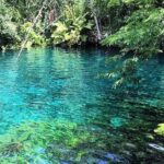 Tulum & Coba Private Tour - Who is This Tour Best For?