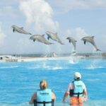 Tulum & Dolphin Connection from Cancun - Practical Considerations