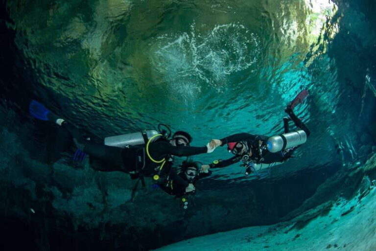 Tulum : Dos Ojos cenote 2 scuba dives (certified divers)