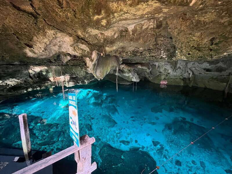 Tulum: Dos Ojos Cenote 2 Scuba Dives with Transfer Option - Authentic Insights from Reviewers