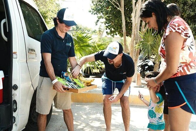 Tulum Half Day Plus Jaguar Park and Playa Paraíso Tour - Transportation and Logistics