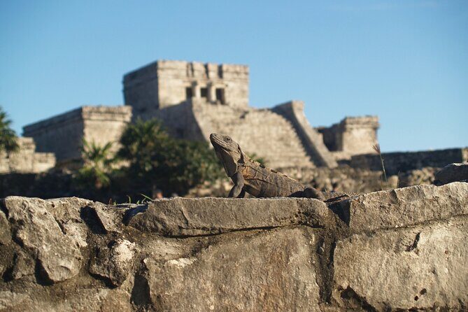 Tulum Highlights Early Easy and Crowd Free - Who Will Love This Tour?