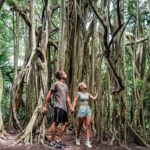 Tulum: Monkey Sanctuary Adventure - About the Tulum Monkey Sanctuary Adventure