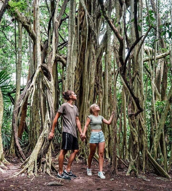 Tulum: Monkey Sanctuary Adventure - About the Tulum Monkey Sanctuary Adventure