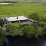 Tulum: Pargo Restaurant Cenote Dining Experience - An In-Depth Look at the Experience