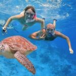 Tulum Ruins - Akumal & Cenote - Transportation and Practical Details