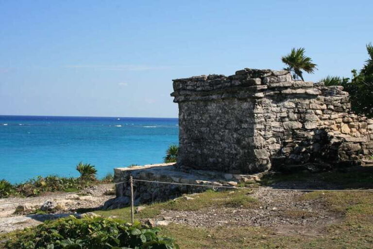 Tulum Ruins and Cenote - Private Guided Tour - Who Will Love This Tour
