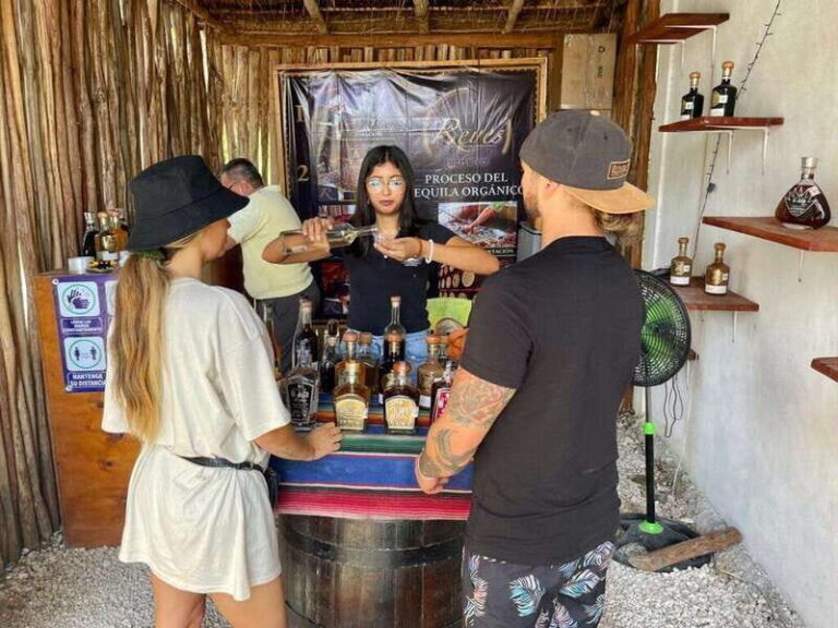 Tulum: Ruins by Boat, Swim with Turtles & Cenote Tour - Practical Details: What You Need to Know