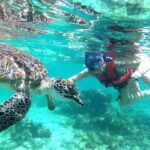 Tulum Ruins, Snorkeling with Turtles and Underground Caves - What Travelers Are Saying