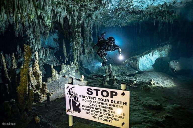 Tulum: Scuba Diving in the Mystical Cenotes - The Itinerary: What to Expect
