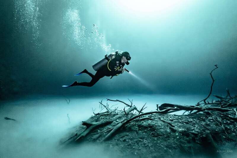 Tulum : Scuba in 2 cenotes including a deep one Pit Dos Ojos - What to Expect from Each Stop