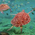 Tulum, Snorkeling with Sea Turtles, Cenote and Beachside Lunch - Logistics and Practical Details