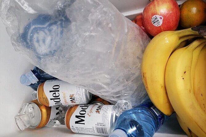 Tulum Transportation Service 24/7 The Most Reliable and safe. - Itinerary & Destinations