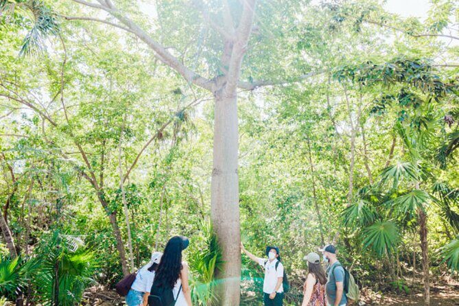 Tulum Unveiled In Expert Guided Tour for True History Enthusiasts - Practicalities and Value