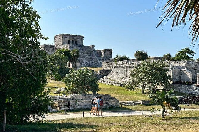 Tulum VIP Private Tour with Sea Turtles & Cenote  Award-Winning - Detailed Breakdown of the Itinerary