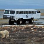 Tundra Buggy Autumn Day Tours - Who Is This Tour Best Suited For?