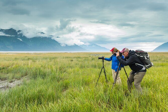 Turnagain Arm Highlights Photo Tour - Why This Tour Is a Great Fit