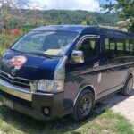 Turtle Encounter with Yumi Tours - The Value of This Experience