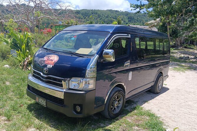 Turtle Encounter with Yumi Tours - The Value of This Experience