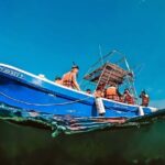 Turtle Sightseeing at Akumal & Underground Caves Tour - Authentic Experiences and Practical Tips