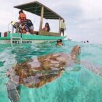Turtle Swim, Lunch and Underground Cenote Private Tour - Why This Tour Works Well for Certain Travelers