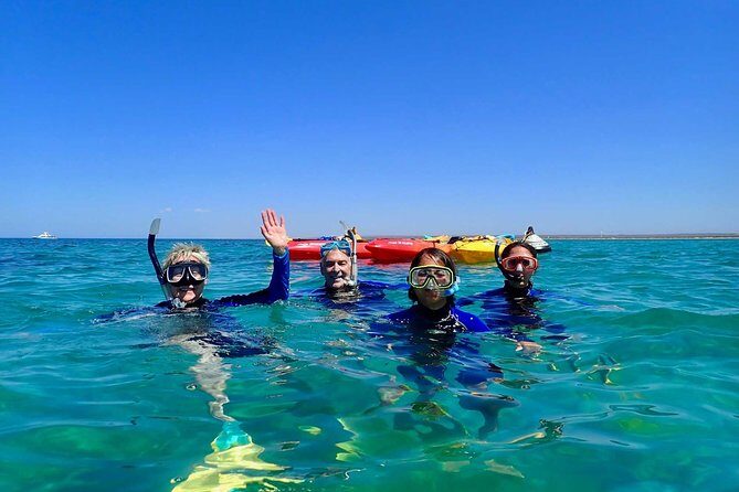 Turtle Tour - Ningaloo Reef Half Day Sea Kayak and Snorkel Tour - What Makes This Tour Stand Out