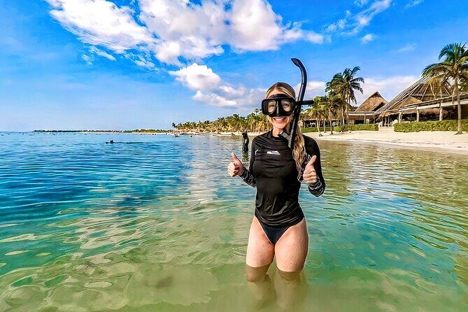 Turtles Encounter Akumal! Small group from Playa del Carmen