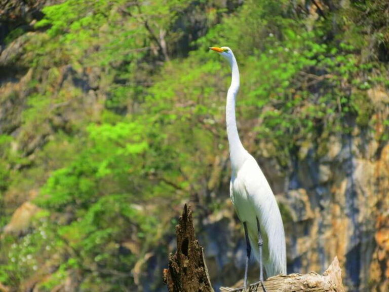 Tuxtla: Sumidero Canyon, San Juan Chamula & Zinacantán Tour - In-Depth Look at the Itinerary