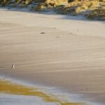 Twilight at the Opera - Is This Tour Worth Its Price?