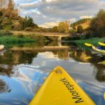 Twilight Glowworm Kayak Tour  Lake Karapiro - Who Should Consider This Tour?