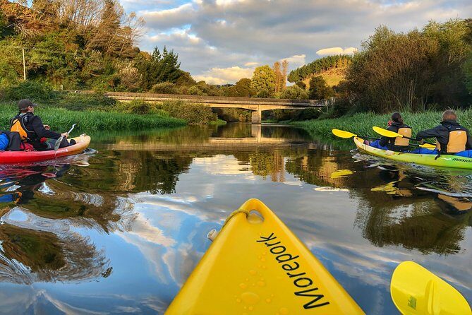 Twilight Glowworm Kayak Tour  Lake Karapiro - Who Should Consider This Tour?
