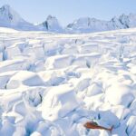 Twin Glacier Fox and Franz, Snow Landing (allow 30 mins - departing Fox Glacier) - The Sum Up