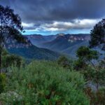 Ultimate Blue Mountains and Wildlife Tour - Who Will Love This Tour?