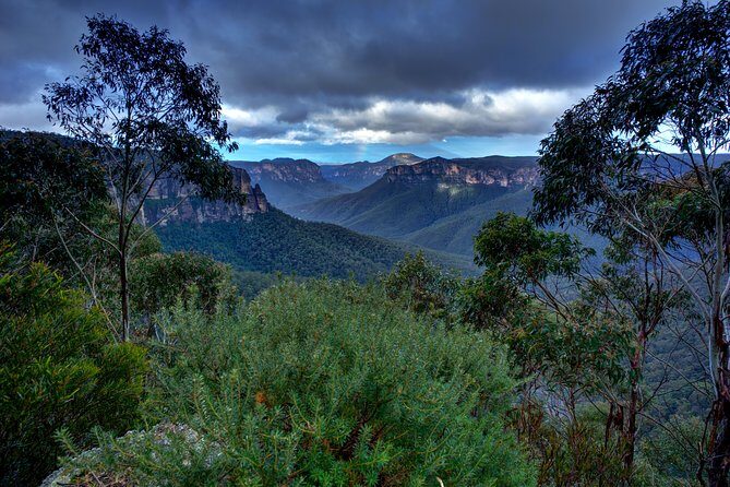 Ultimate Blue Mountains and Wildlife Tour - Who Will Love This Tour?