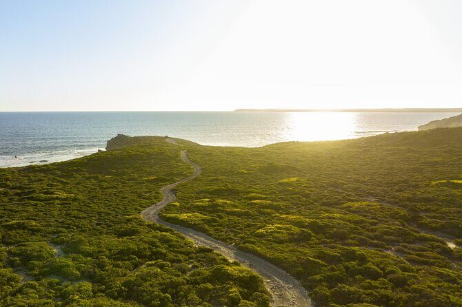 Ultimate Buggy Tour in Kangaroo Island - The Itinerary in Detail