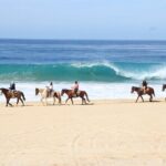 Ultimate Cabo Adventure UTV Horseback and Sky Bike Combo - Practical Tips for Your Adventure