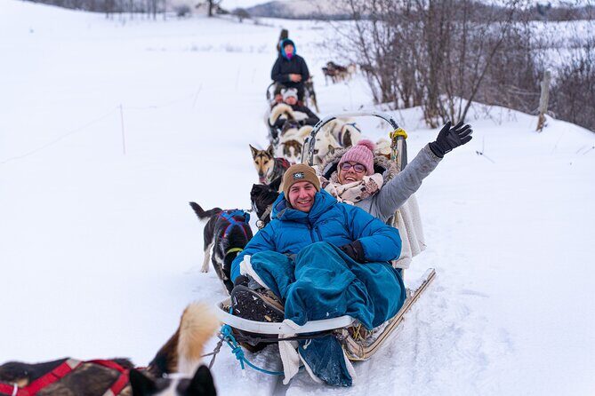 Ultimate Dog Sledding Tour - Day trip from Ottawa & Gatineau - Who Will Love This Tour?