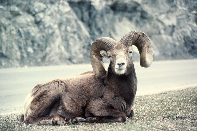 Ultimate Jasper Nature Walk - Value and Authenticity