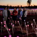 Uluru (Ayers Rock) Field of Light Sunrise Tour - Deep Dive into the Itinerary