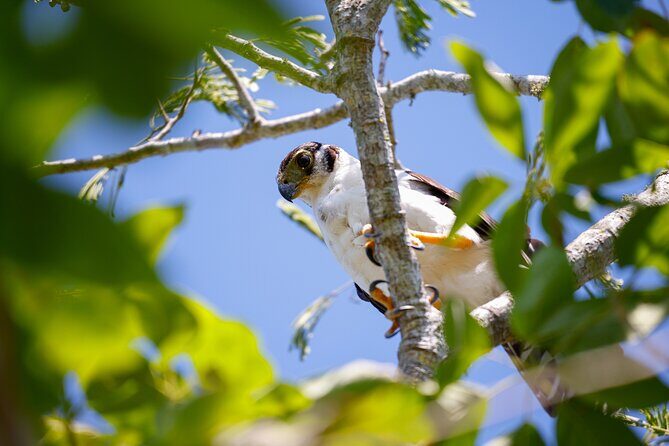 Uncharted Mayan Ruins - Authenticity and Guide Expertise