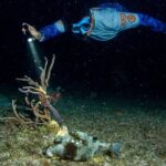 Under the Stars Twilight Snorkel and Seaside Dinner at Money Bar - An In-Depth Look at the Under the Stars Experience