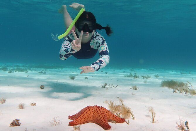 Underwater Snorkel Experience day in Cozumel with Transportation from Cancún - Exploring the Itinerary and Key Highlights