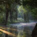 UNESCO Sites Discovery Tour in Mexico City - Final Thoughts