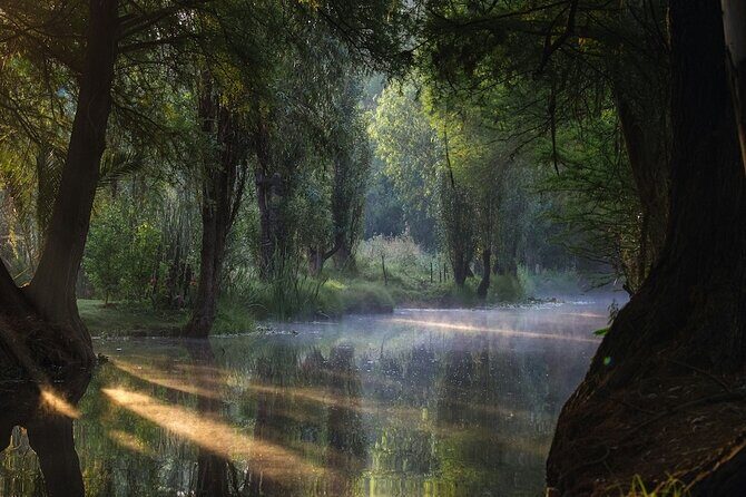 UNESCO Sites Discovery Tour in Mexico City - Final Thoughts