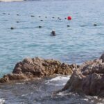 unforgettable snorkeling activity in The Sea of Cortes - The Itinerary: How Your Day Unfolds