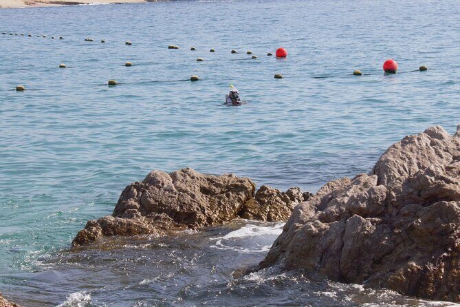 unforgettable snorkeling activity in The Sea of Cortes - The Itinerary: How Your Day Unfolds