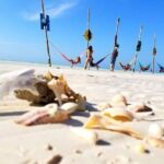Unforgettable Tour Holbox 2 Islands & Cenote Yalahau from Cancún - What’s Included and What to Budget For