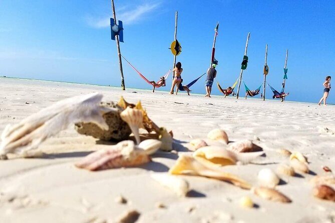 Unforgettable Tour Holbox 2 Islands & Cenote Yalahau from Cancún - What’s Included and What to Budget For