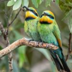 Unique and Personal BushTracks Eco Tour in Agnes Water 1770 - Final Thoughts